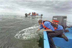 Scientists unsure why gray whales are dying again - PressReader