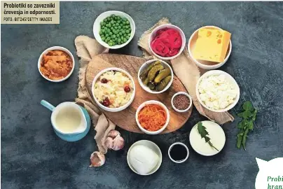 Prebava ima rada red - PressReader