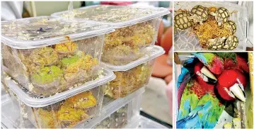 India’s demand for exotic animals feeds Sri Lanka smuggling activity - PressReader