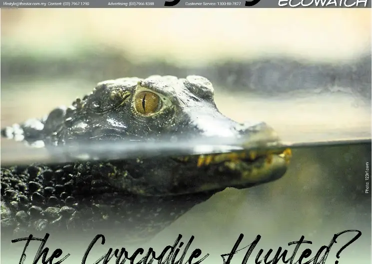 The Crocodile Hunted? - PressReader