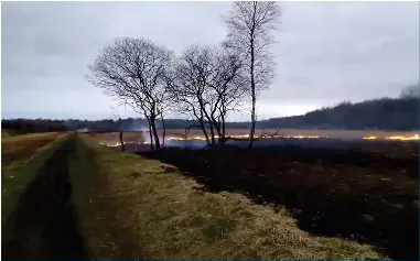 City wildfire sparks fire safety warning - PressReader