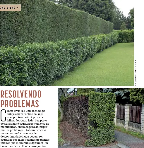 RESOLVENDO PROBLEMAS - PressReader