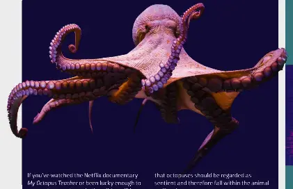 ARE OCTOPUSES SENTIENT? - PressReader
