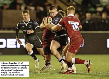 Sharks edge it after the Falcons draw first blood - PressReader