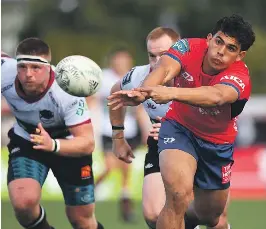 Ranfurly Shield dream drives All Blacks halfback Noah Hotham - PressReader