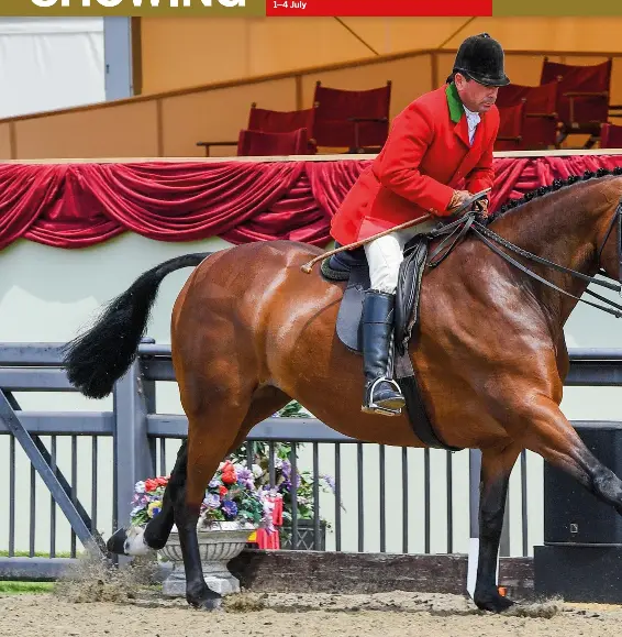 Horses Robert Walker scores a hattrick, and there’s a surprise in the cob championsh­ip ...