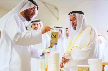 Dh600m Maliha Dairy Farm boasts 1,200 purebred cows - PressReader