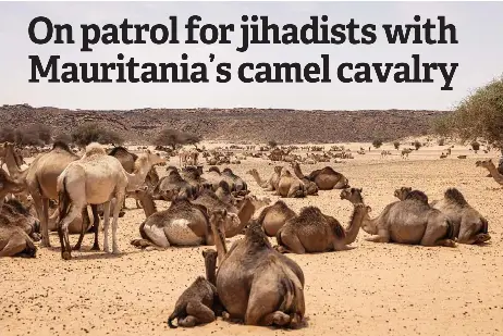 On patrol for jihadists with Mauritania’s camel cavalry - PressReader