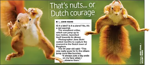 That’s nuts... or Dutch courage - PressReader