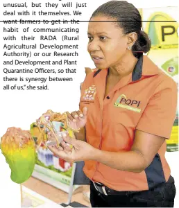 Farmers urged to report pest infestatio­ns - PressReader