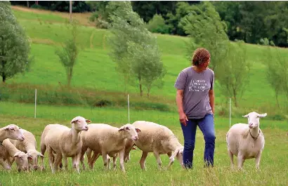 Nach Agrar-Studium: Redakteuri­n wird Landwirtin - PressReader