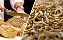 Bäcker gegen neues Wurmpulver im Brot - PressReader