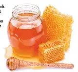 Heuningbye verrig ’n belangrike taak - PressReader