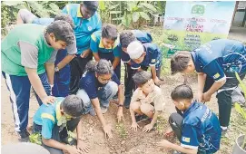 Cultivatin­g green thumbs among kids - PressReader