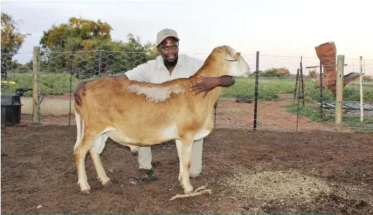 Top farmer – Jack Mothiba - PressReader