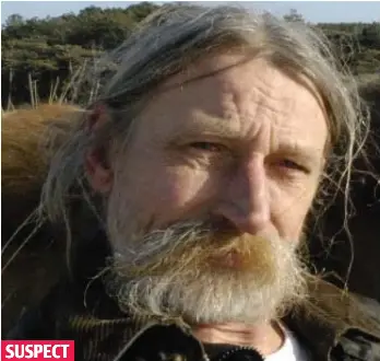 Face of the neighbour accused of shooting girl to death on swing ...