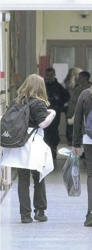 Parents, carers, staff and pupils contact politician­s to describe their experience­s as issue ...