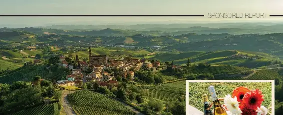 THE GRAPE ESCAPE FOR WINE ENTHUSIAST­S - PressReader