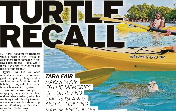 TURTLE RECALL - PressReader
