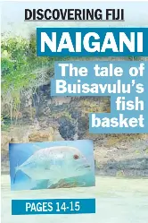 NAIGANI - PressReader