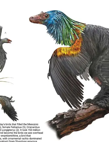 From feathered dinosaurs to STJERNEHIM­LEN AUGUST - PressReader