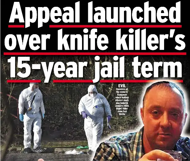 Appeal launched over knife killer’s 15-year jail term DPP DISPUTES ...