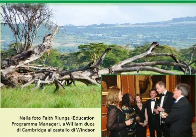 UN GIARDINO REGALE - PressReader