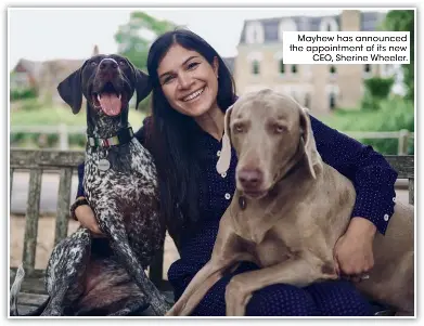 MAYHEW APPOINTS NEW CEO - PressReader