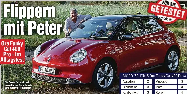 Flippern mit Peter - PressReader