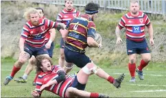 Barnsley feature in book about club rugby union in Yorkshire - PressReader