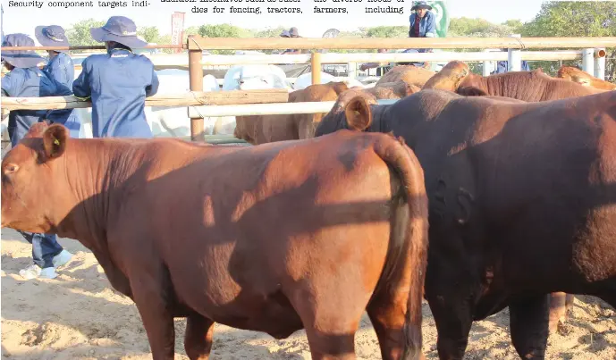 TEMO LETLOTLO AND THUO LETLOTLO: TRANSFORMI­NG AGRICULTUR­E AND LIVESTOCK SECTORS FOR ECONOMIC ...