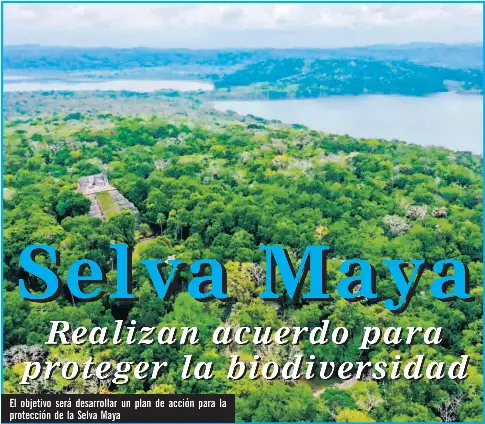 Selva Maya - PressReader