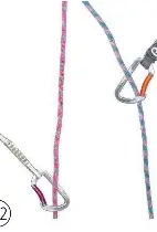 LES TYPES DE CORDE - PressReader