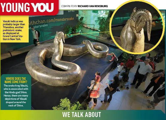 LARGEST EVER SNAKE FOSSIL FOUND IN WEST INDIA - PressReader