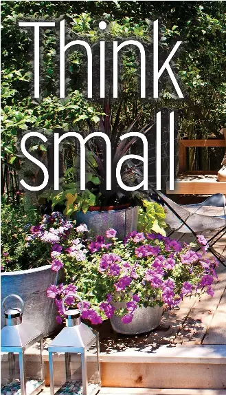 IN THE Think small GARDEN - PressReader