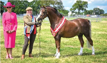 Penny posts stunning - PressReader