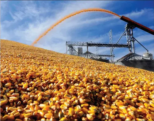 AfCFTA’s agri value chains hold enormous potential - PressReader