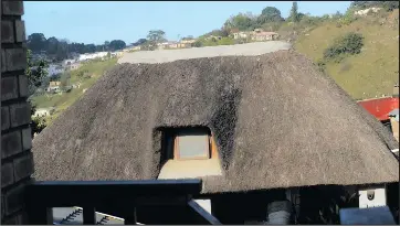 Ugila izimanga ngotshani - PressReader