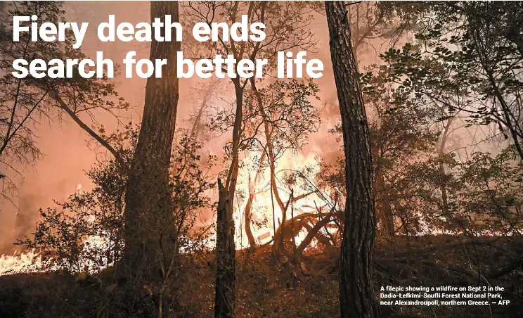 Fiery death ends search for better life - PressReader