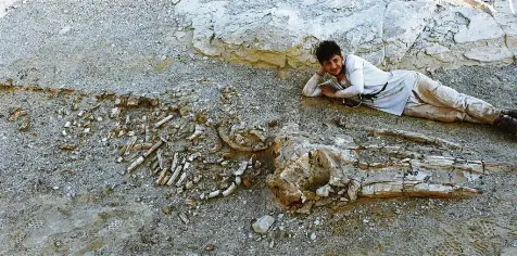 Als der Wal noch vier Beine hatte - PressReader