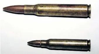 Businessma­n to stand trial for ammunition - PressReader