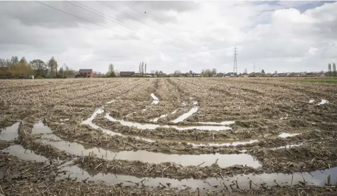 “Wat denken ze? Laat die West-Vlaamse boerkes maar prutsen?” - PressReader