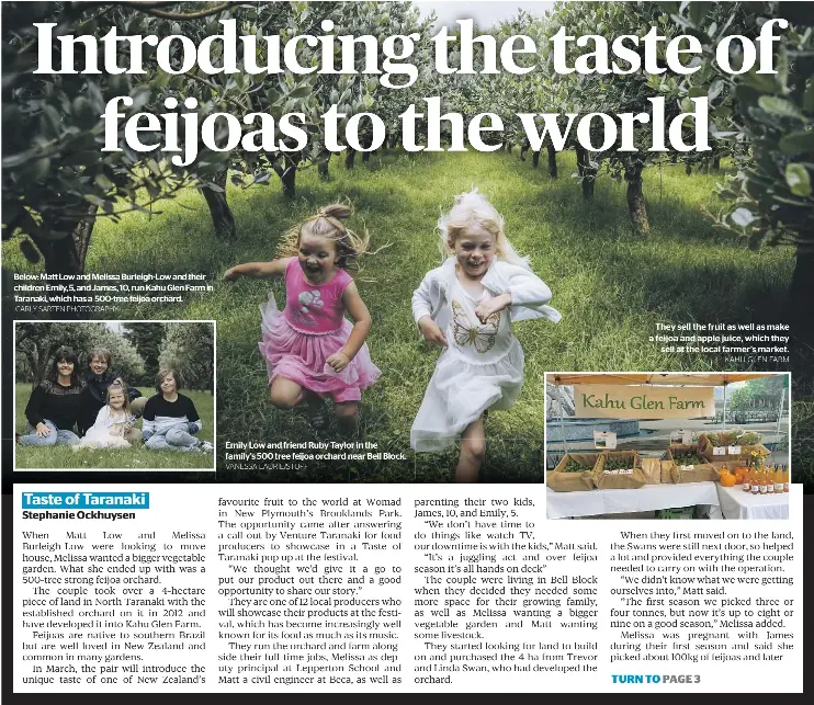 Introducin­g the taste of feijoas to the world - PressReader