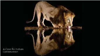 A Case for Nature Conservati­on by Christophe­r Ang - PressReader