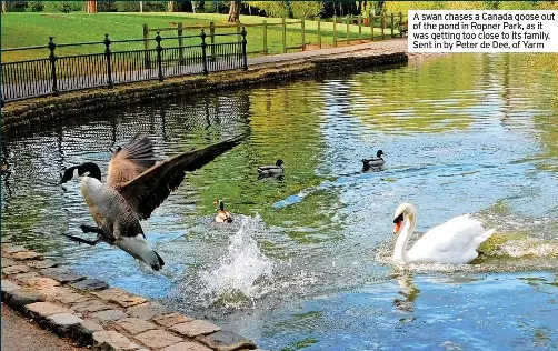 Turned off by the ‘news’ - PressReader