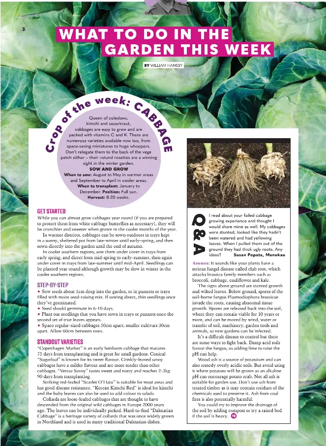 WHAT TO DO IN THE GARDEN THIS WEEK - PressReader