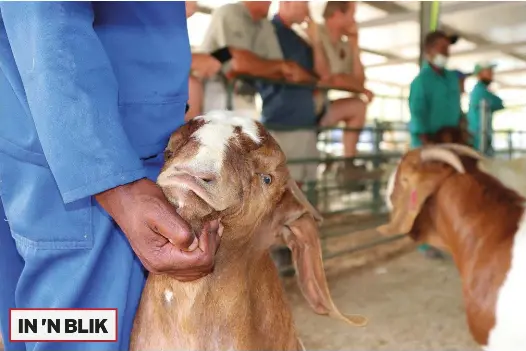 IN ’N BLIK - PressReader