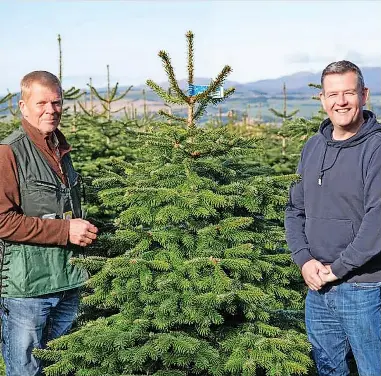 Tree-mendous idea from Dobbies team - PressReader