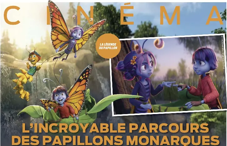 L’INCROYABLE PARCOURS DES PAPILLONS MONARQUES - PressReader