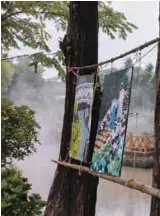 Festival freeze frame: Idyllic Sha - PressReader